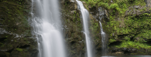 Maui Luxury Halfway to Hana Tour from $1,041.88