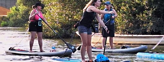 Walton On Thames SUP Safari from £15